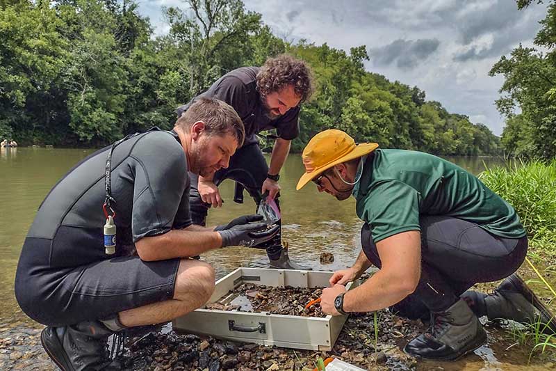 A Really Good Day – Quad Cities Daily