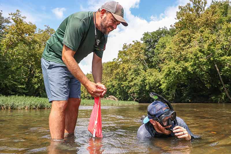 Wild, Water-Cleaning Creatures