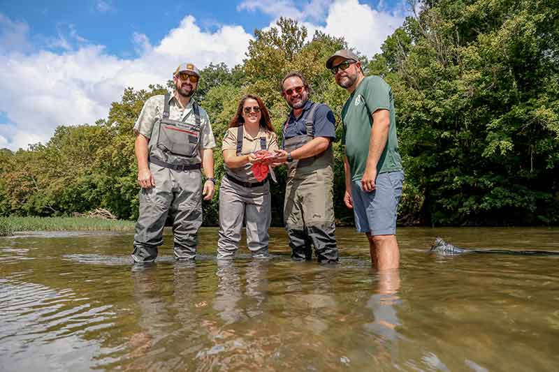 Wild, Water-Cleaning Creatures