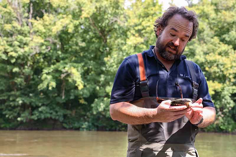 Wild, Water-Cleaning Creatures